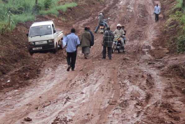 Storm leaves over 8,000 in Isingiro needing help - Daily Monitor