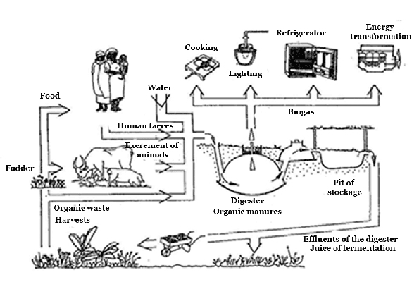HOW IT WORKS: Biogas digester - Daily Monitor