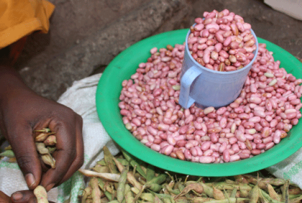 Uganda’s bean exports grow as markets expand - Daily Monitor