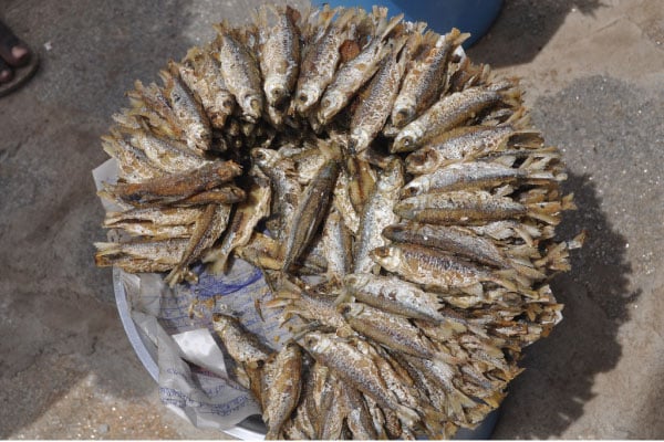 Nang-nang fish puts more money in the pocket | Monitor