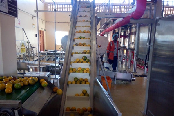 Government to open 2 fruit processing factories | Monitor