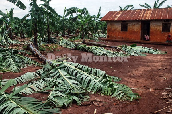Govt warns of strong floods, destructive rain | Monitor