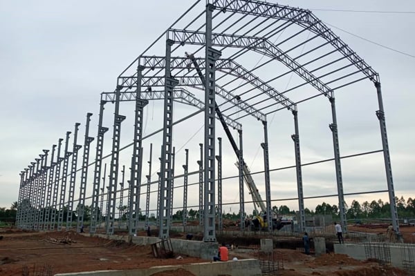 Bugiri Sugar factory gives outgrowers hope for better cane prices | Monitor