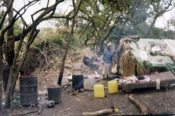 Waragi: An ambitious brew of words | Monitor