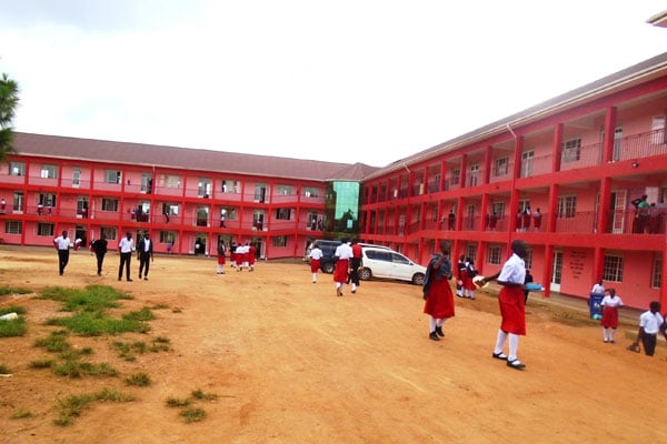 How 83-year-old Austrian has transformed Mukono community | Monitor