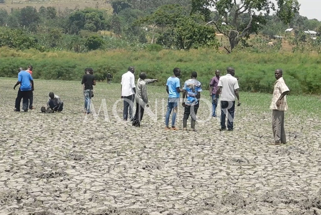 Crisis looms as Mubende water source dries up | Monitor