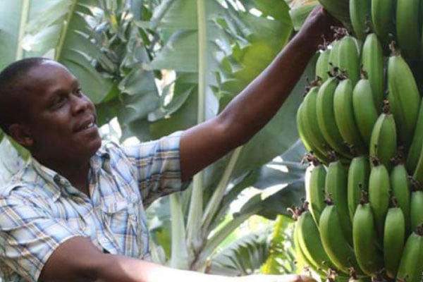 A simple guide to record-keeping on your farm | Monitor