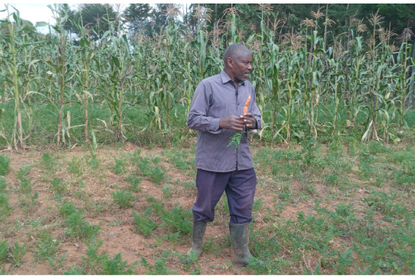 How to farm during dry spell | Monitor