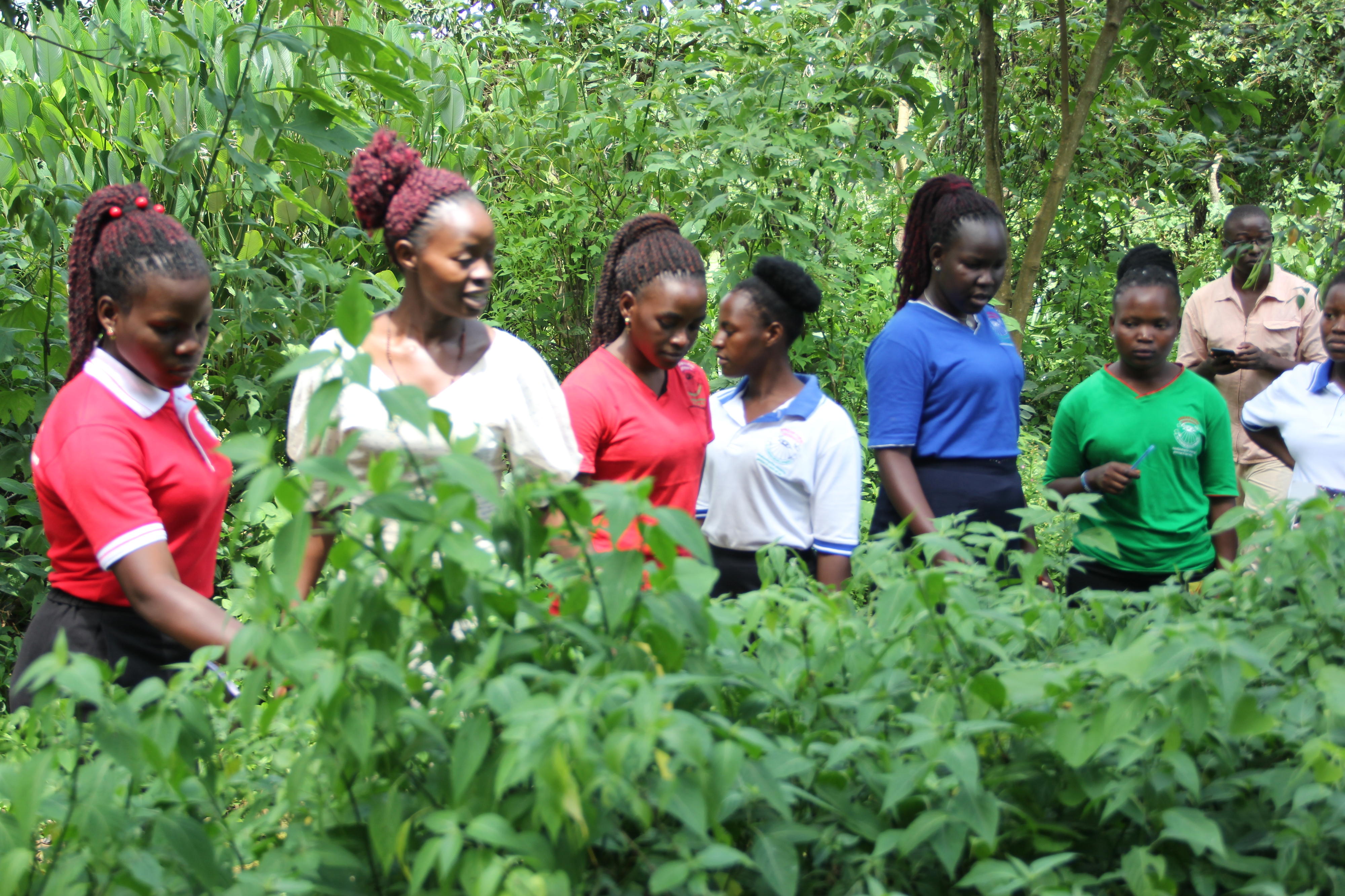 Transforming communities through mindset change | Monitor