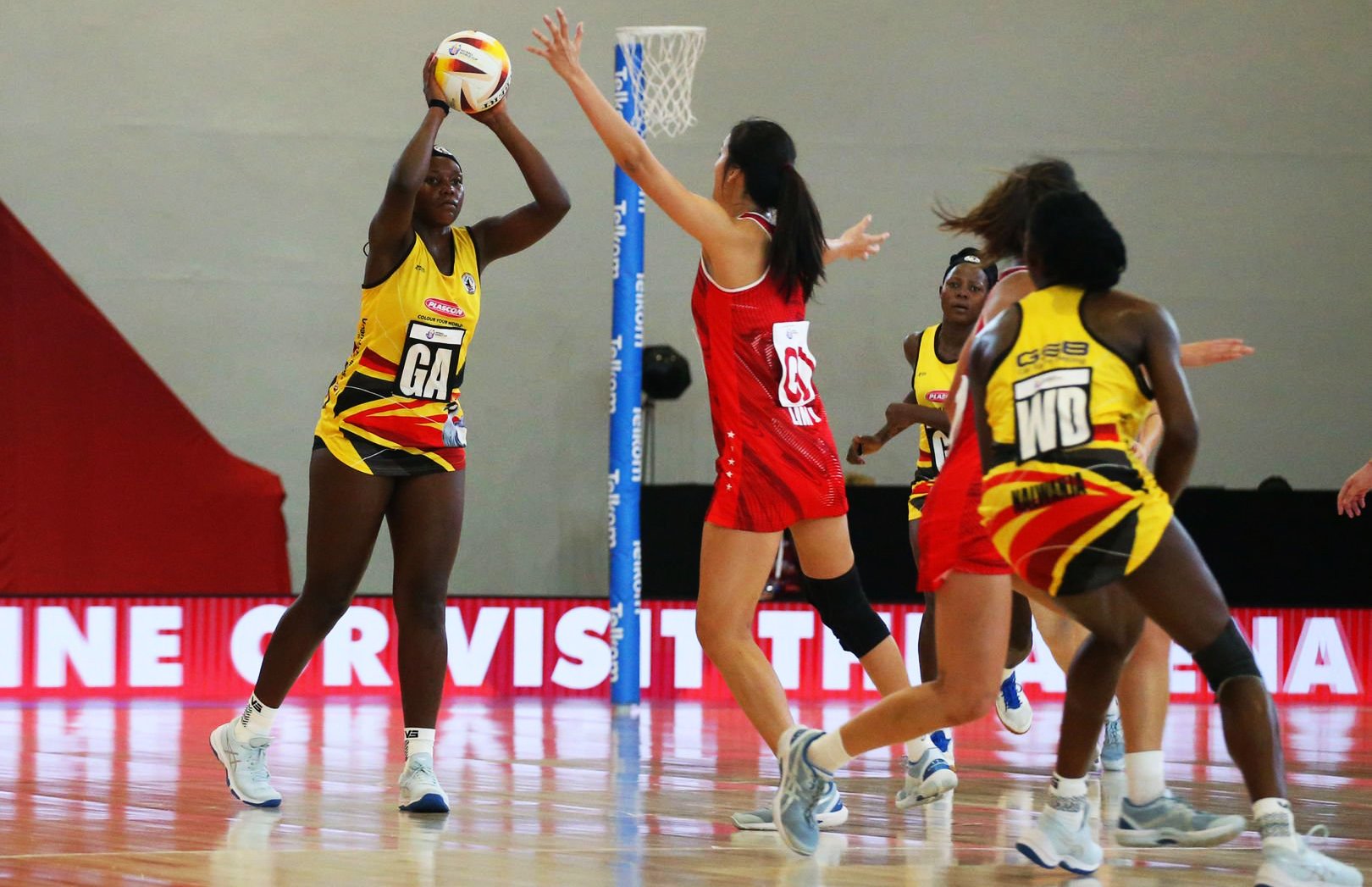 Our She Cranes deserve better | Monitor