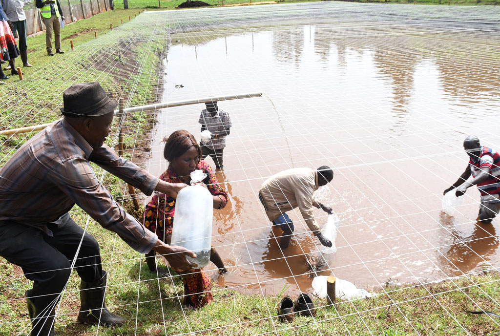 Sebei puts high hopes in fish farming | Monitor