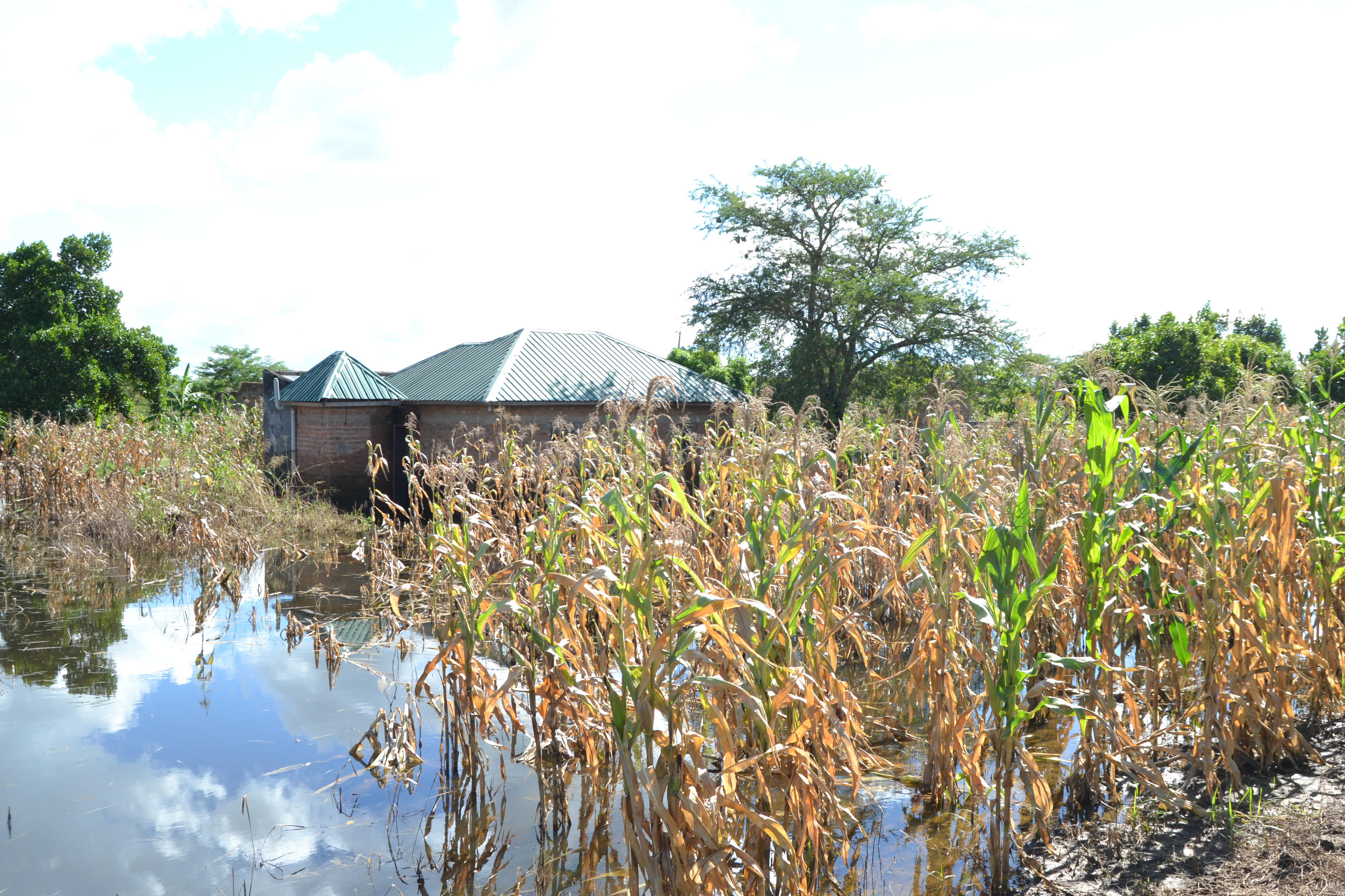 Waterborne diseases looming as effects of floods emerge in Nakasongola ...