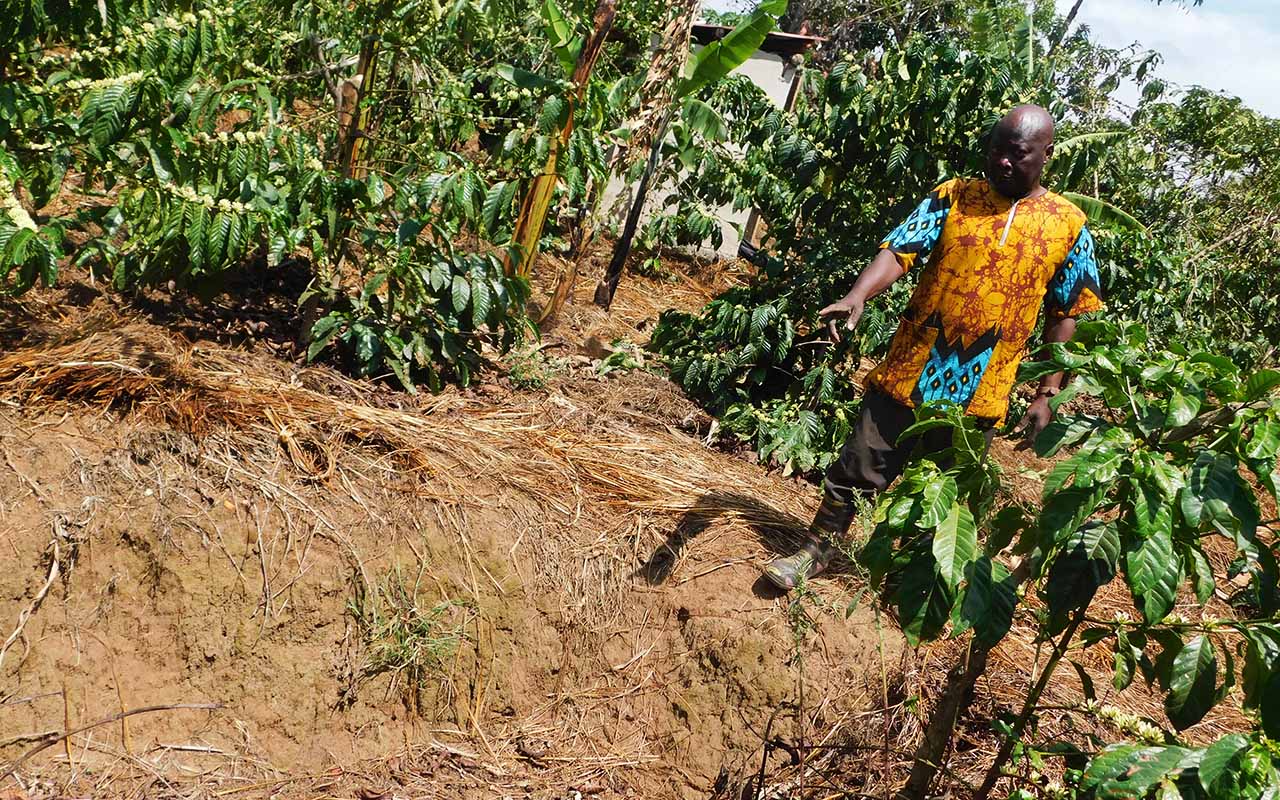 What a farmer must do in the ongoing rainy season | Monitor