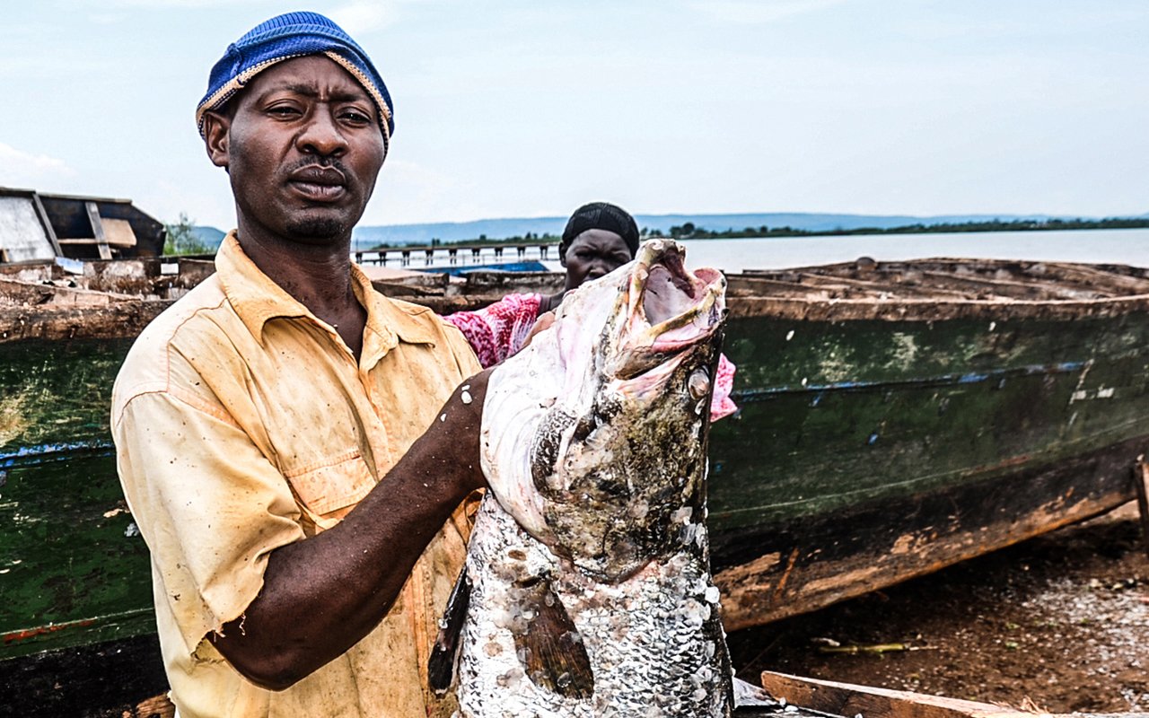 Harvesting immature fish: A vice choking fish industries | Monitor