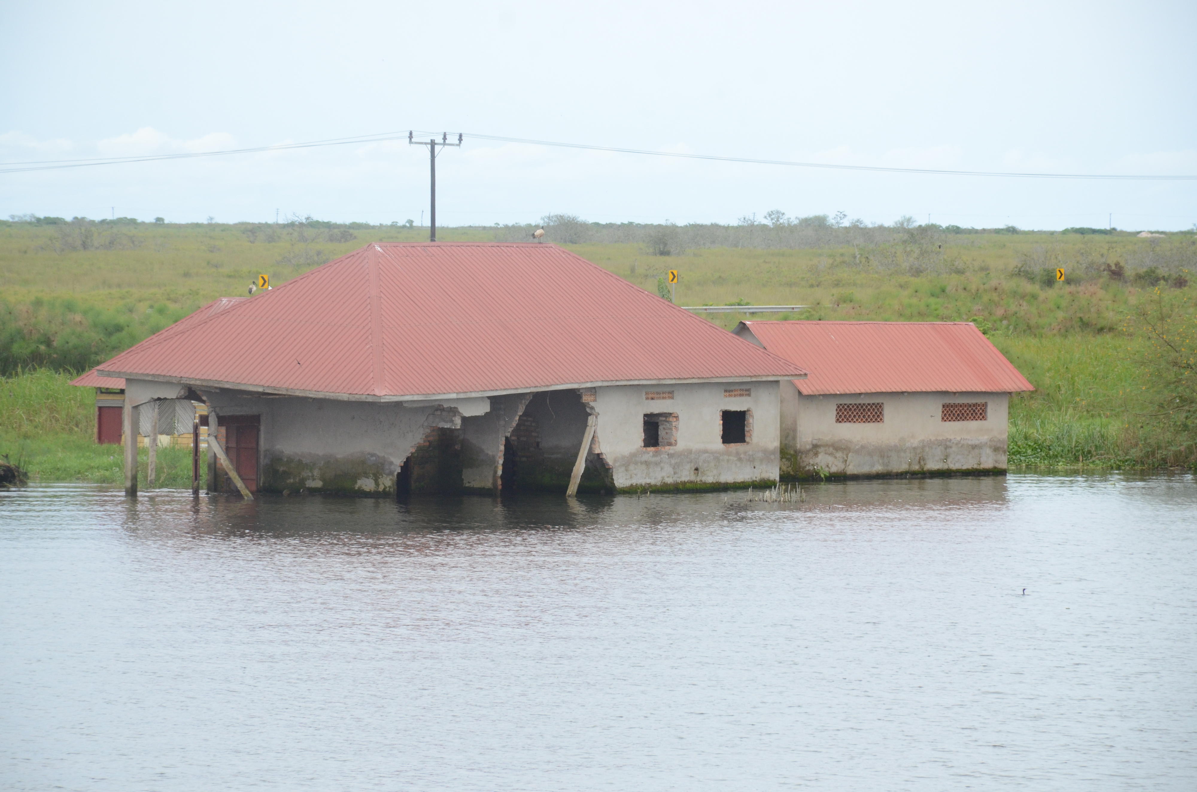 Rising water levels: Deal with those damaging environment | Monitor