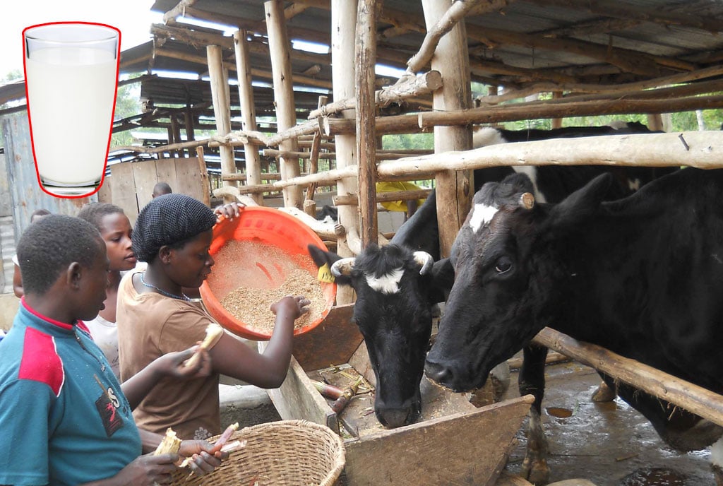 Proper milk handling leads to good marketing | Monitor