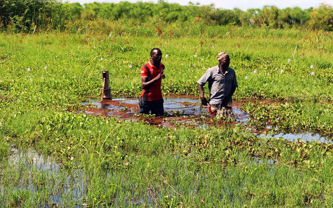Two Kayunga villages submerged as Lake Kyoga water levels rise | Monitor