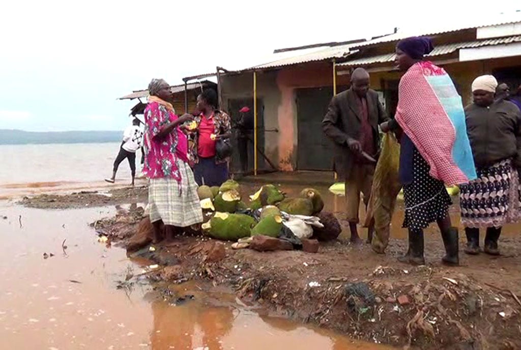 Over 1,600 locals stranded after Lake Victoria water levels rise in ...