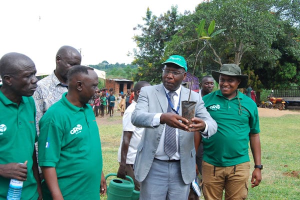 Project to plant 250 million trees countrywide kicks off in Busoga ...