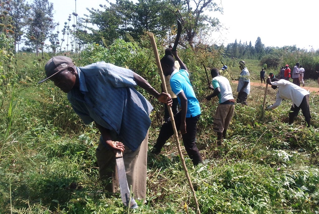 Nowhere to hide for criminals as Busia residents clear bushes | Monitor