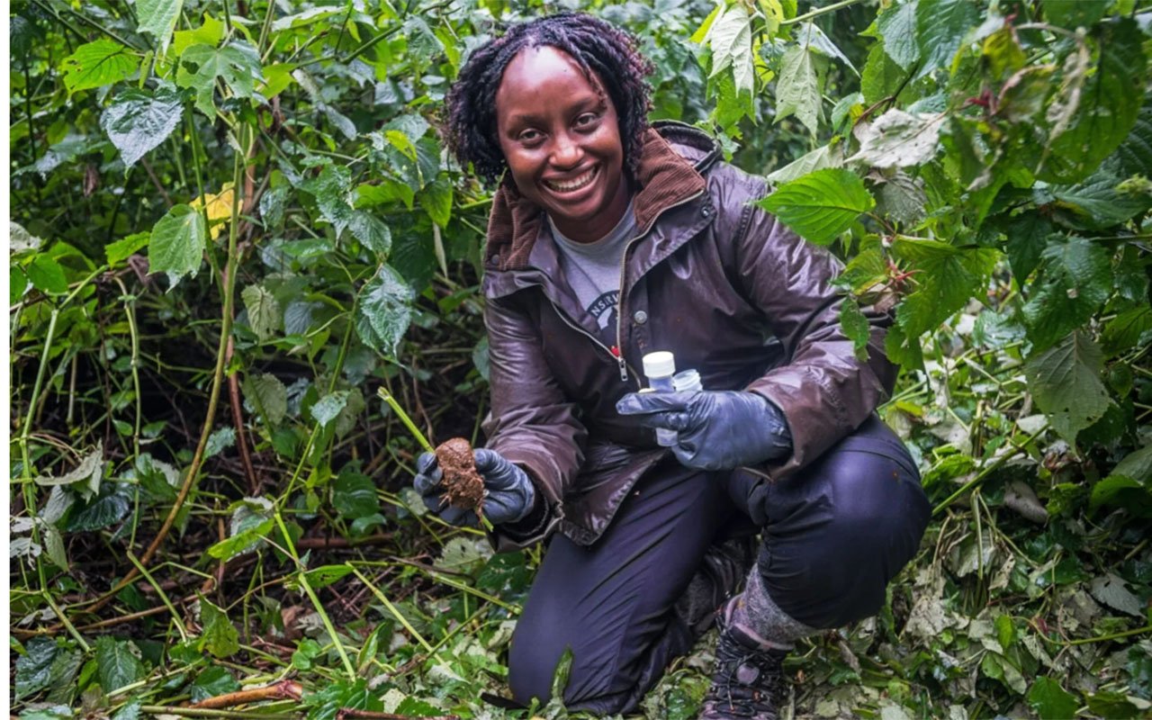 Kalema-Zikusoka speaks for endangered mountain gorillas | Monitor