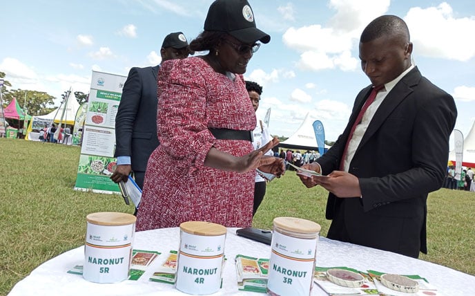 Naro unveils new groundnut varieties to combat food insecurity | Monitor
