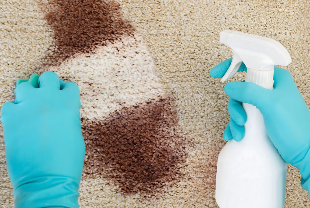 Carpet stain removal: How to do it | Monitor