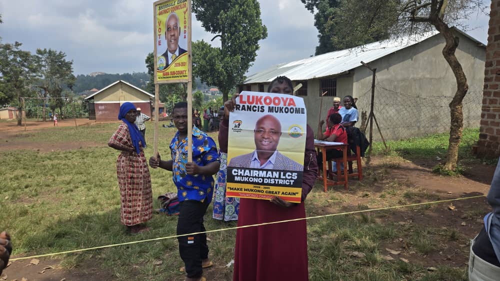 What voter fatigue means ahead of the 2026 election | Monitor